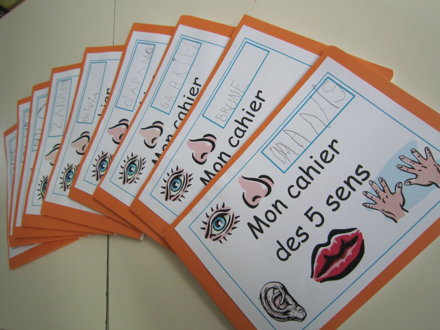 La Maternelle De Flavia: Les 5 Sens : La Vue à Les 5 Sens Activités ...