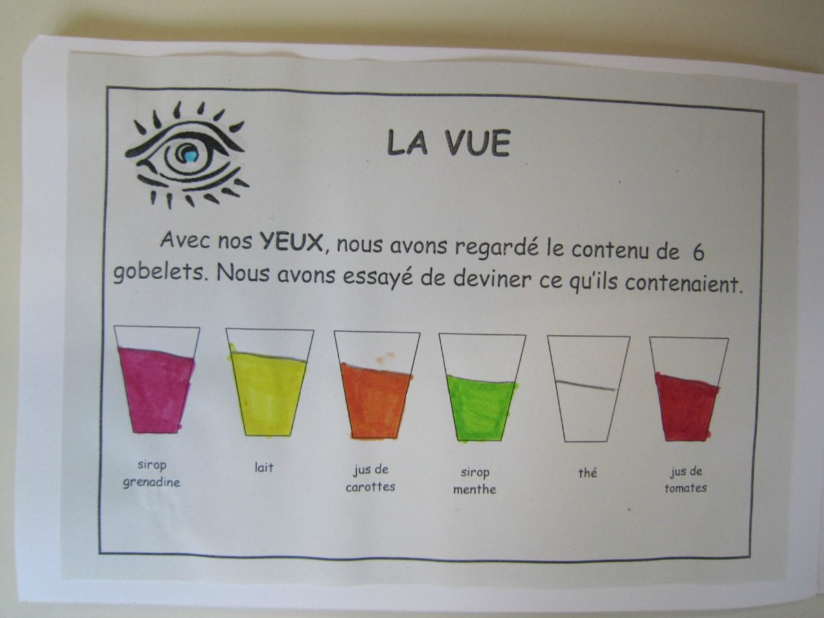 La Maternelle De Flavia: Les 5 Sens : La Vue à Les 5 Sens Activités ...