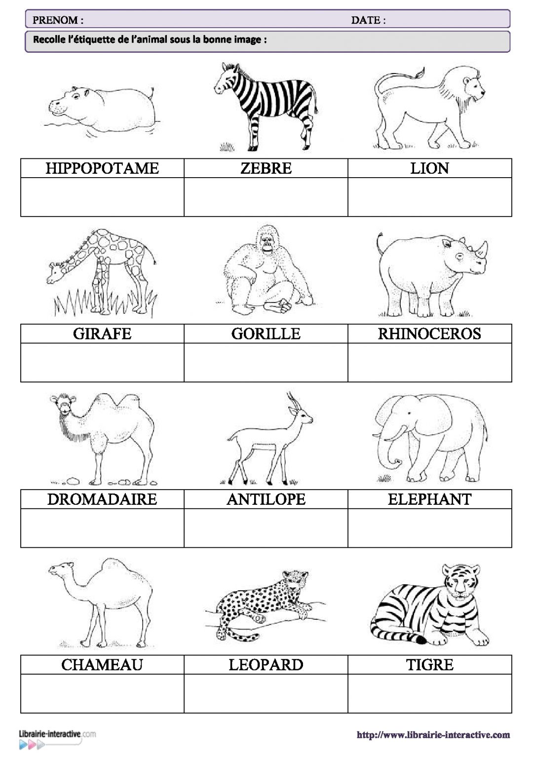 Animaux Maternelle Activités - PrimaNYC.com