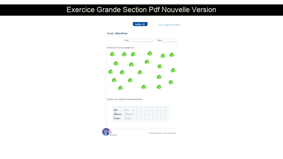 Grand Section Exercice - PrimaNYC.com