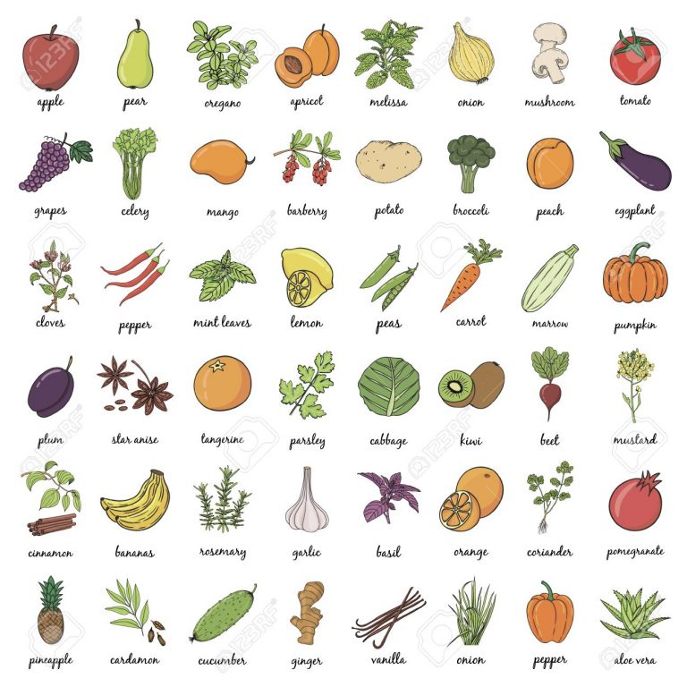 Tics En Fle: Fruits Et Légumes: Vocabulaire, Expressions ...