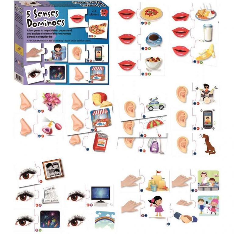 Jeu D'association Les 5 Sens | Jeux D'observation Et Langage dedans Jeu ...