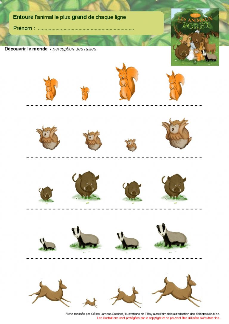Les Animaux De La Forêt serapportantà Animaux Foret Maternelle ...